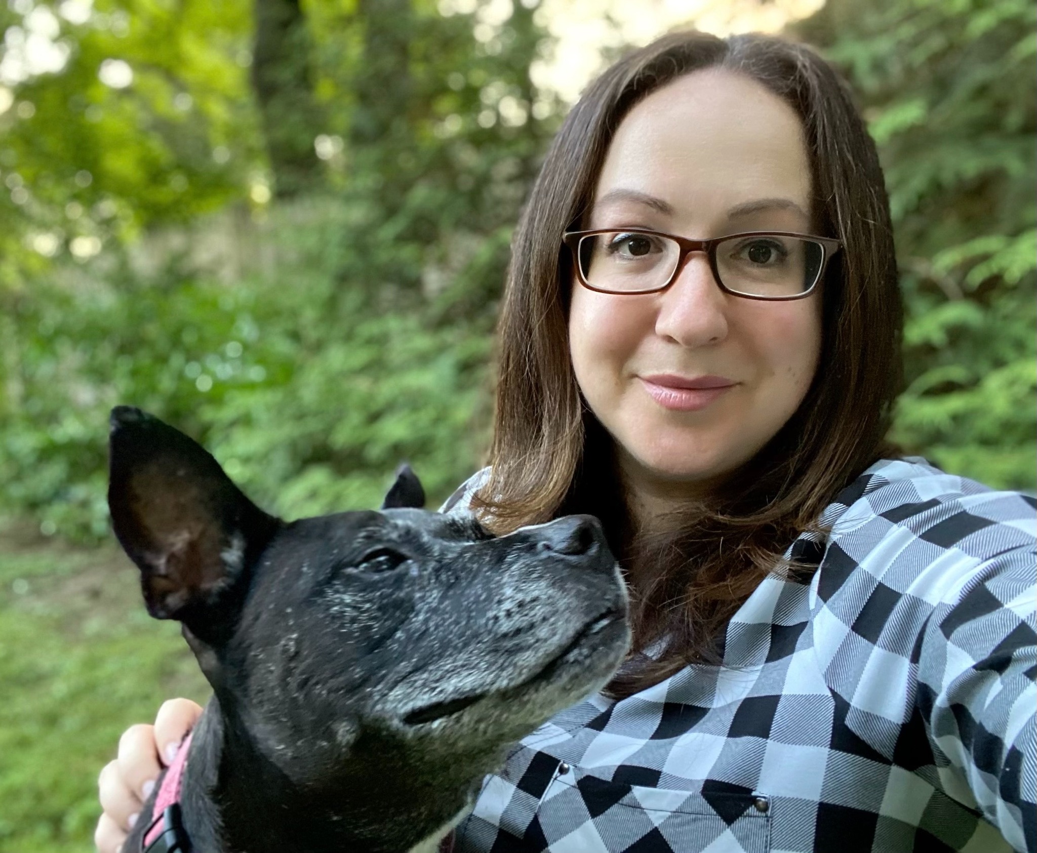 A Good Dog Rescue